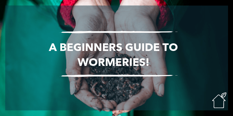 A BEGINNER’S GUIDE TO WORMERIES – Sustainable(ish)